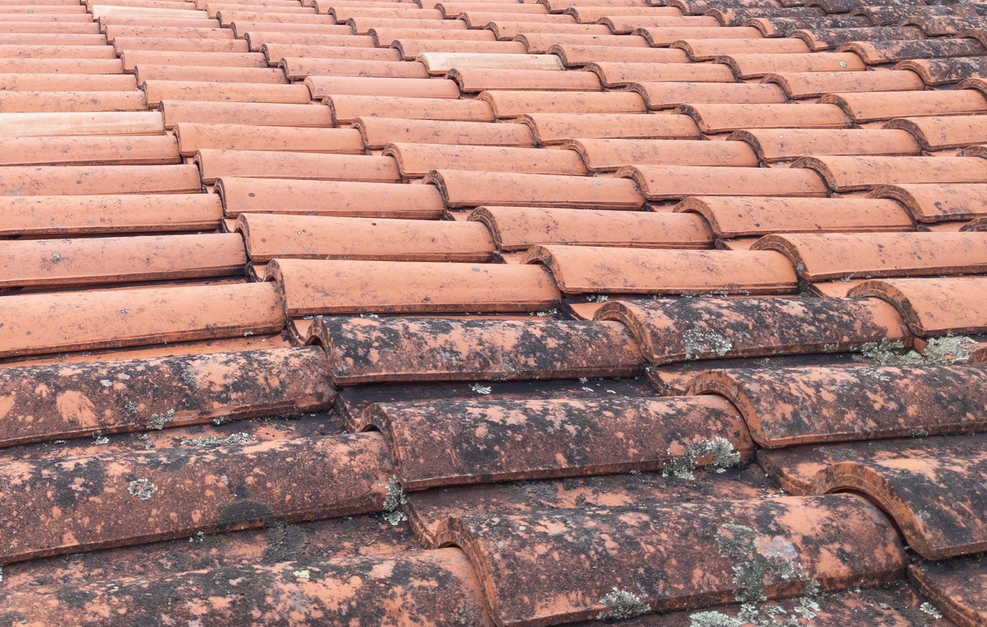 Contact Us Gould Standard Exterior Cleaning Services in Taunton ... Contact Us Gould Standard Exterior Cleaning Services in Taunton ...